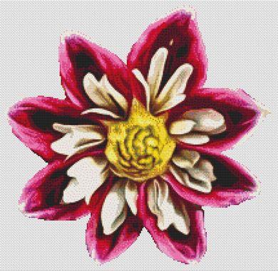 Delilah - White Willow Stitching – Half Moon Stitchery