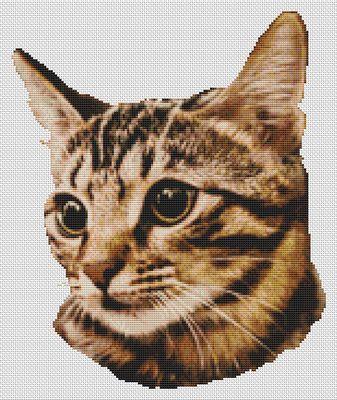 TiGrrr - White Willow Stitching – Half Moon Stitchery