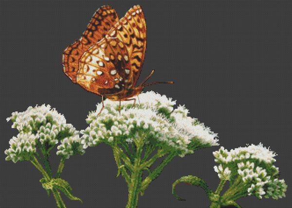 Fritillary On Bonset - White Willow Stitching – Half Moon Stitchery