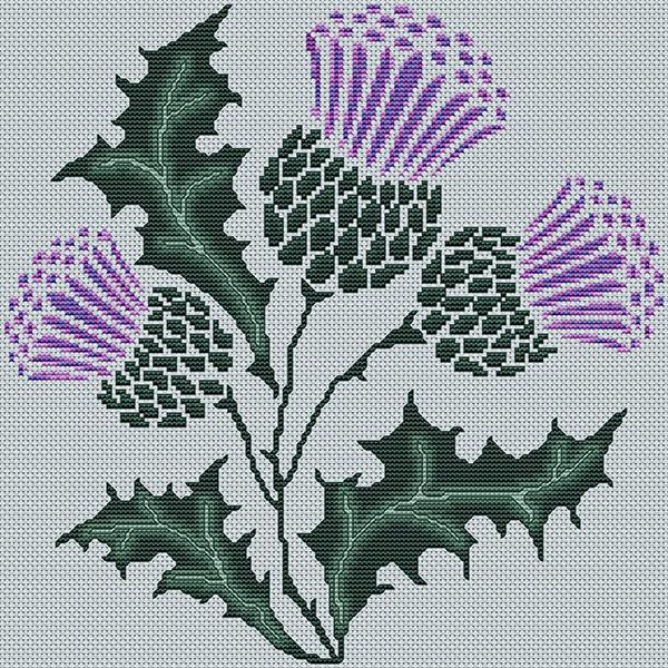 Scottish Thistle - Artists Alley – Half Moon Stitchery