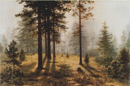Fog In The Forest - X Squared Cross Stitch – Half Moon Stitchery