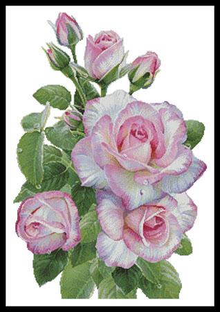 Morning Roses - Artecy Cross Stitch – Half Moon Stitchery