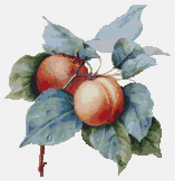 Apricots - Art of Stitch, The – Half Moon Stitchery