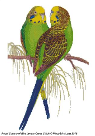 RSBL Parakeet Budgerigar - PinoyStitch – Half Moon Stitchery